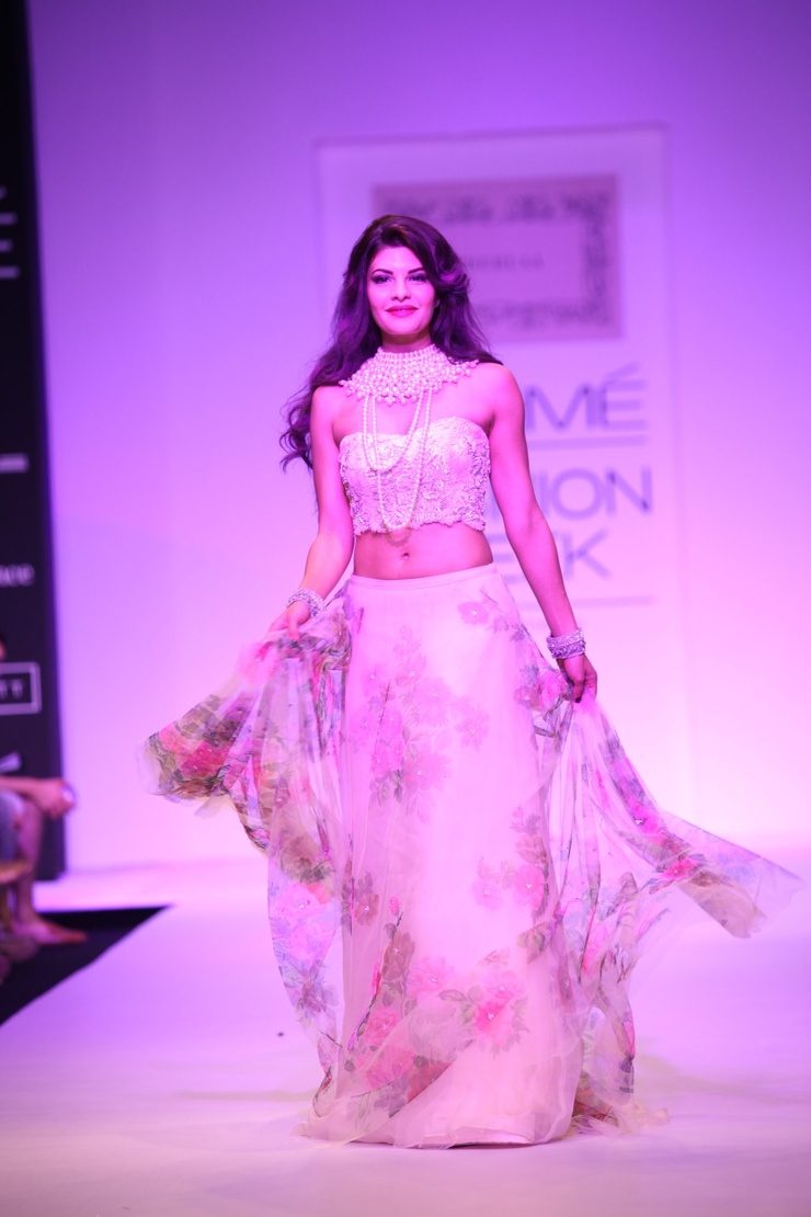 Picture Of Jacqueline Fernandez
