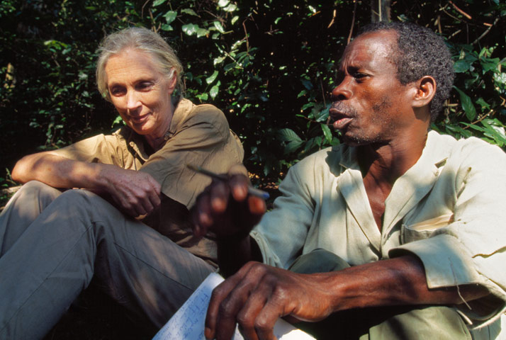 Picture of Jane Goodall