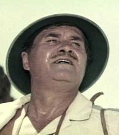 Picture of Arch Hall Sr.