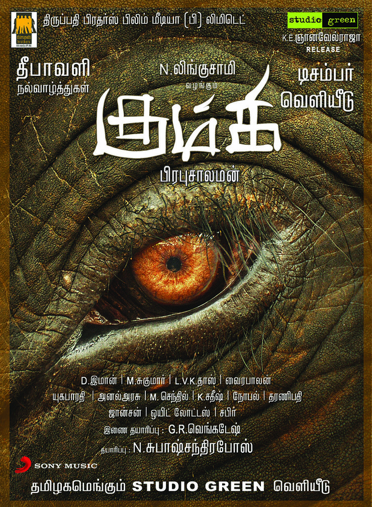 Image of Kumki
