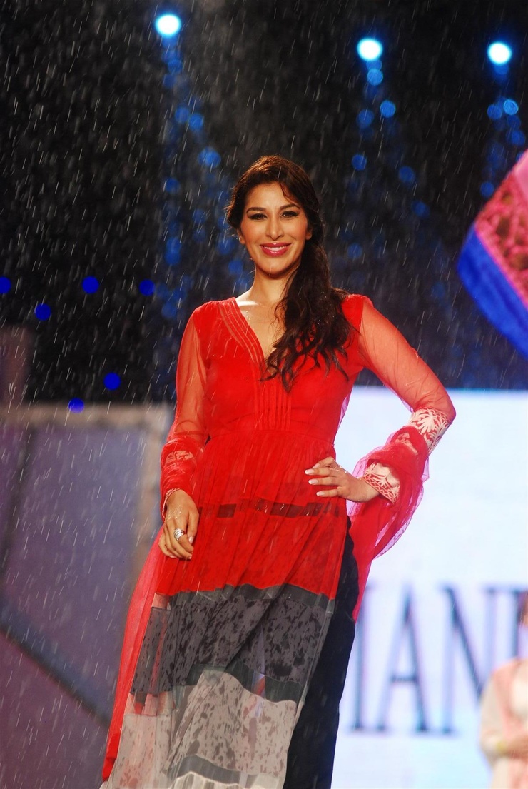 Picture of Sophiya Chaudhary