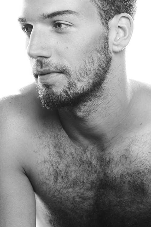 Philip Sullivan image