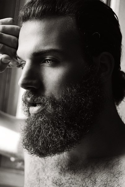 Image of Philip Sullivan