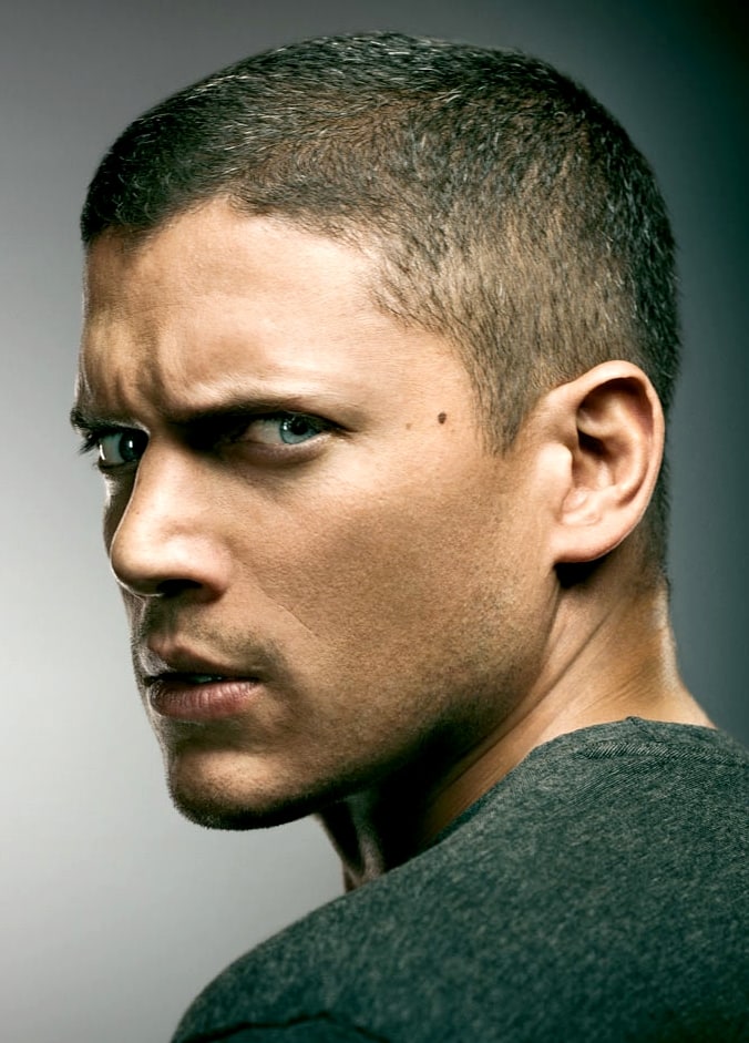 Picture of Wentworth Miller