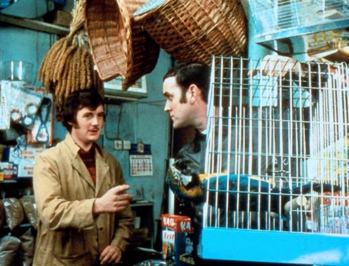 Picture of Monty Python's Flying Circus