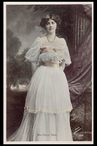 Picture of Viola Tree