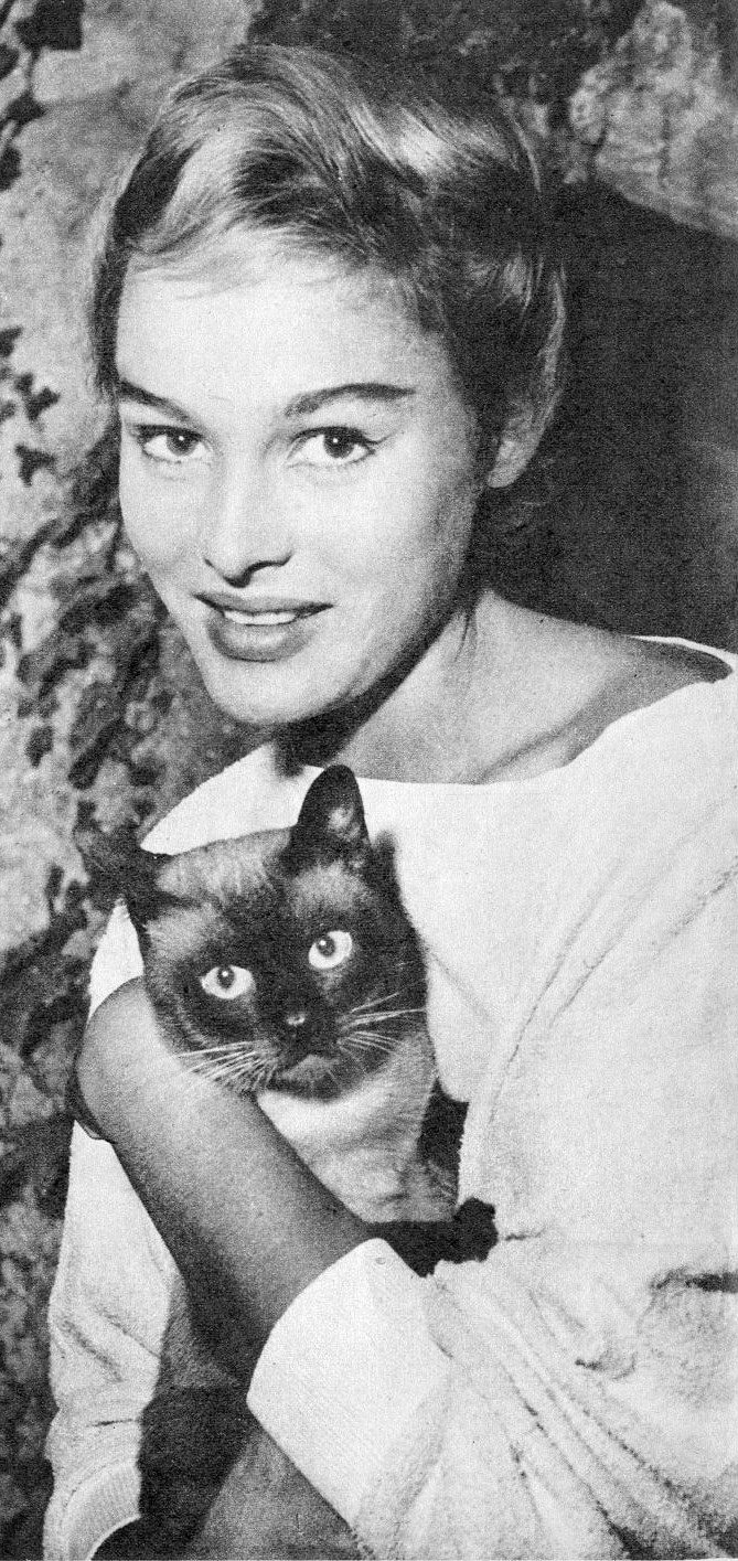 Picture of Ursula Andress