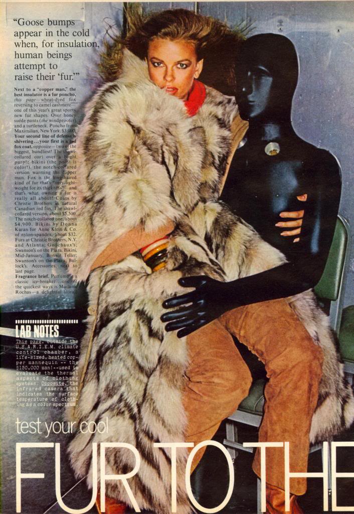 Image of Lisa Taylor