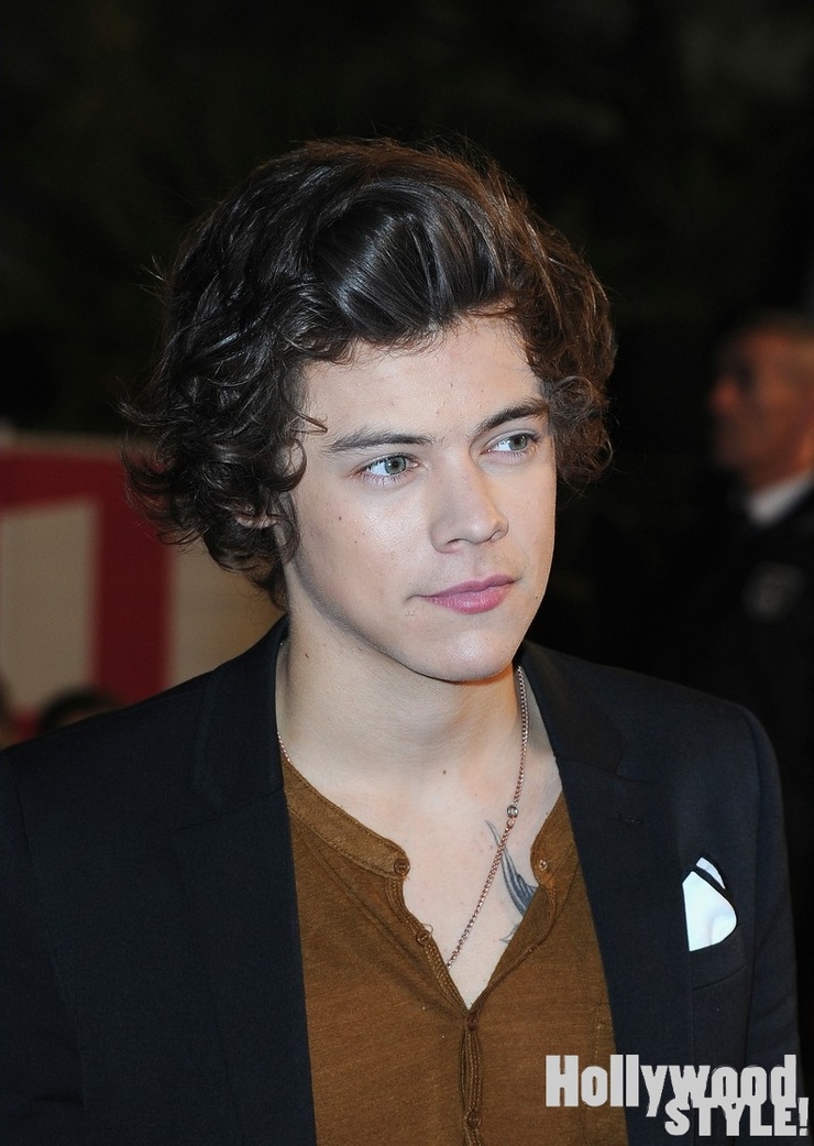 Harry Styles picture