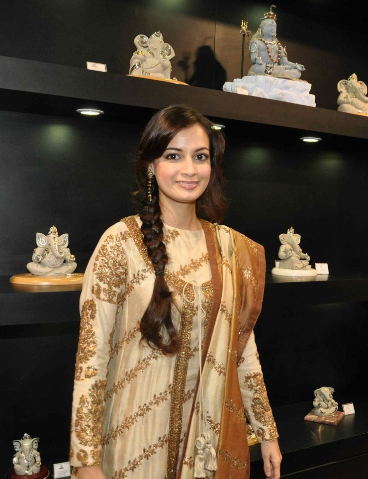 Picture of Diya Mirza