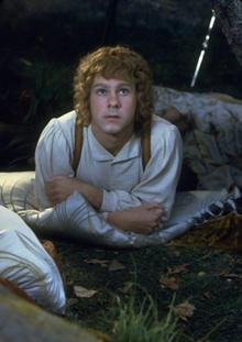 Picture of Meriadoc Brandybuck