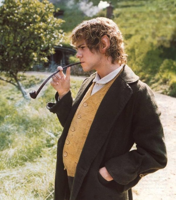 Picture of Meriadoc Brandybuck