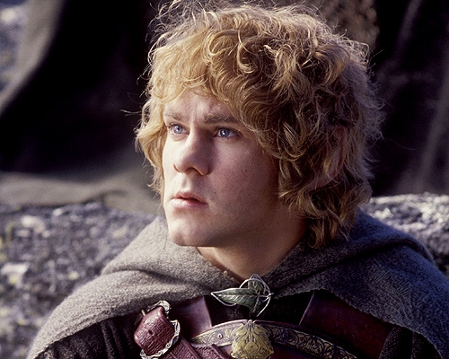 Picture of Meriadoc Brandybuck
