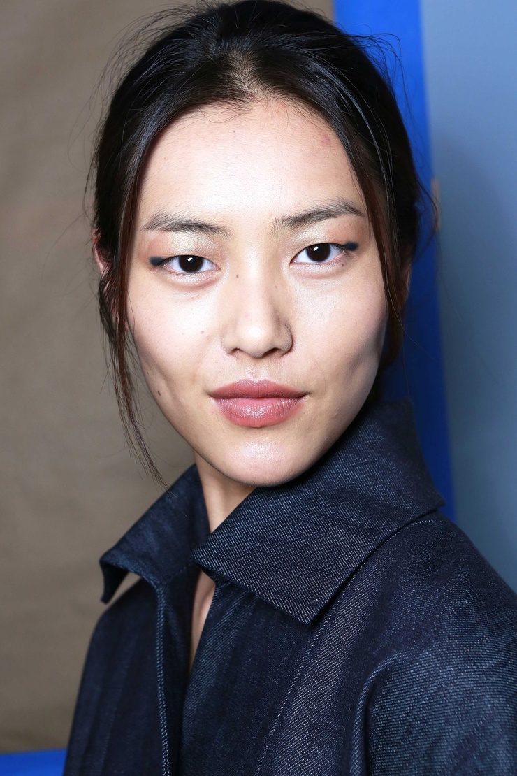 Picture of Liu Wen