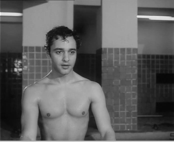 Image of Sal Mineo