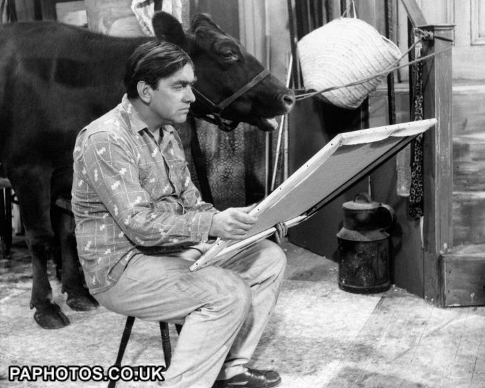 Picture of Call Me Genius (1961)