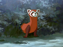Picture of Pabu