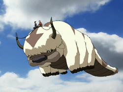 Picture of Appa
