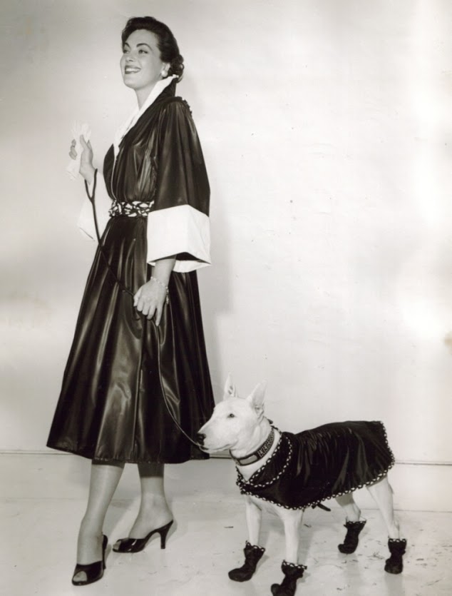 Picture of Jarma Lewis