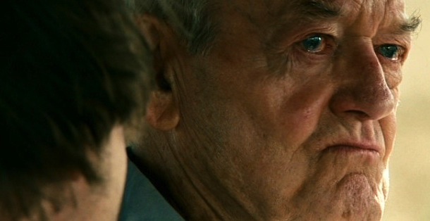 Image of Into the Wild