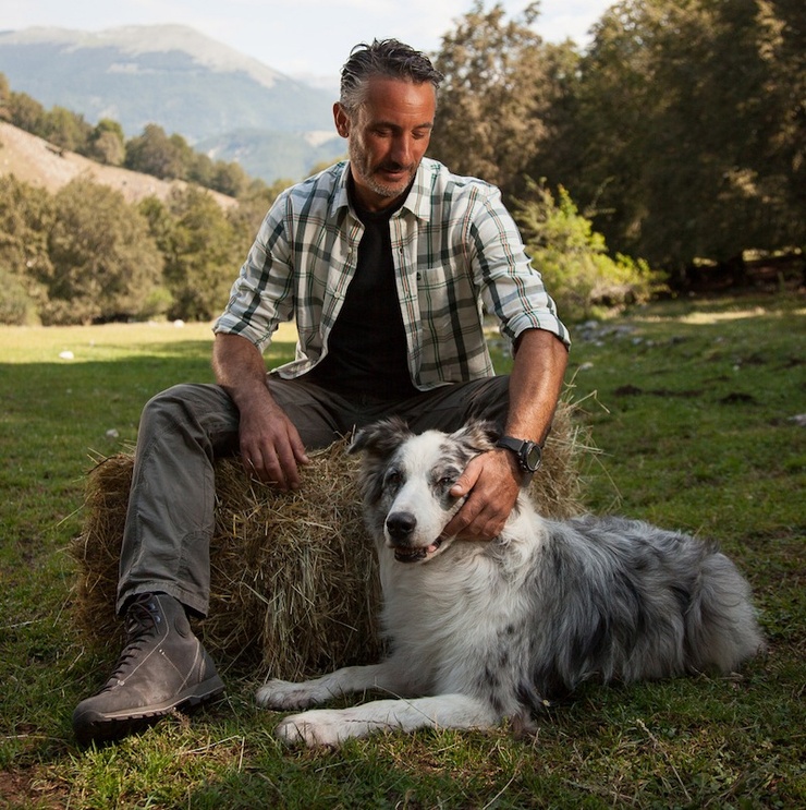 Picture of Vincenzo Venuto