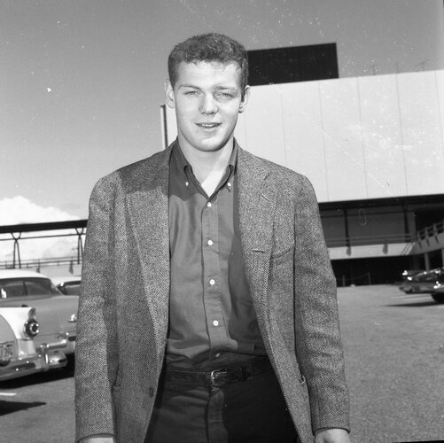 James MacArthur image