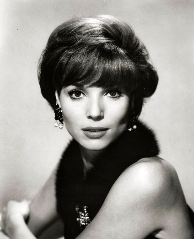 Picture of Elsa Martinelli