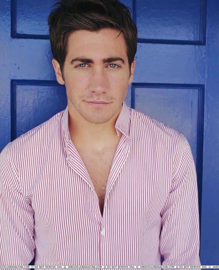 Picture of Jake Gyllenhaal