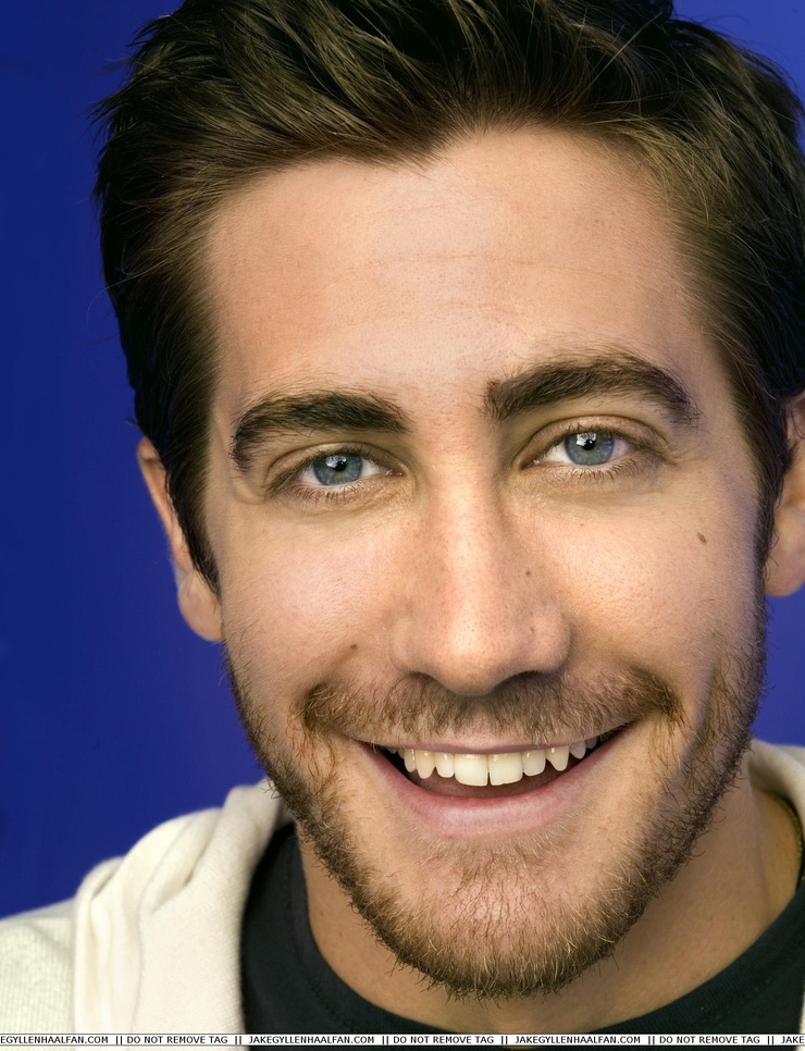Picture of Jake Gyllenhaal