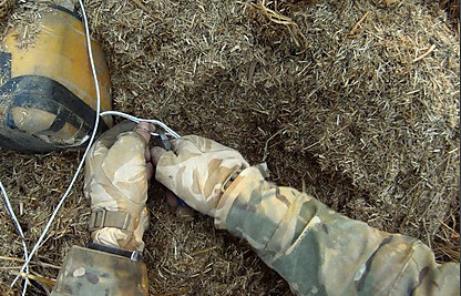 The Bomb Squad picture