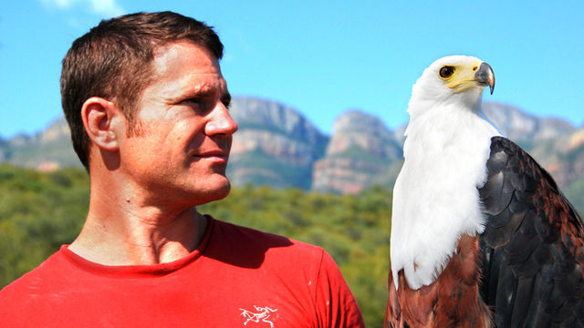 Picture of Steve Backshall