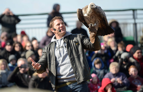 Picture of Steve Backshall
