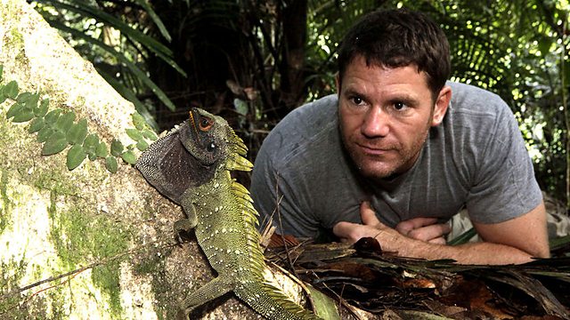 Picture of Steve Backshall