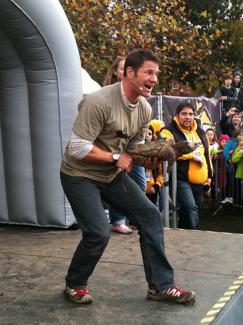 Steve Backshall image