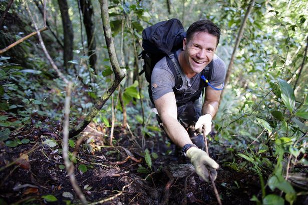 Picture of Steve Backshall
