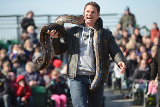 Picture of Steve Backshall