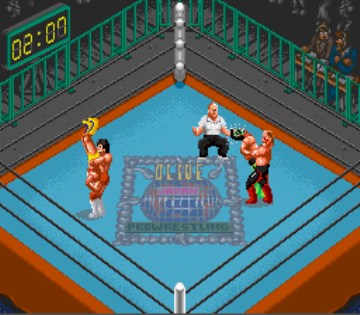Picture of Super Fire ProWrestling Special