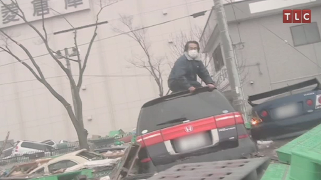 Picture of Japan Tsunami: Tales of Terror