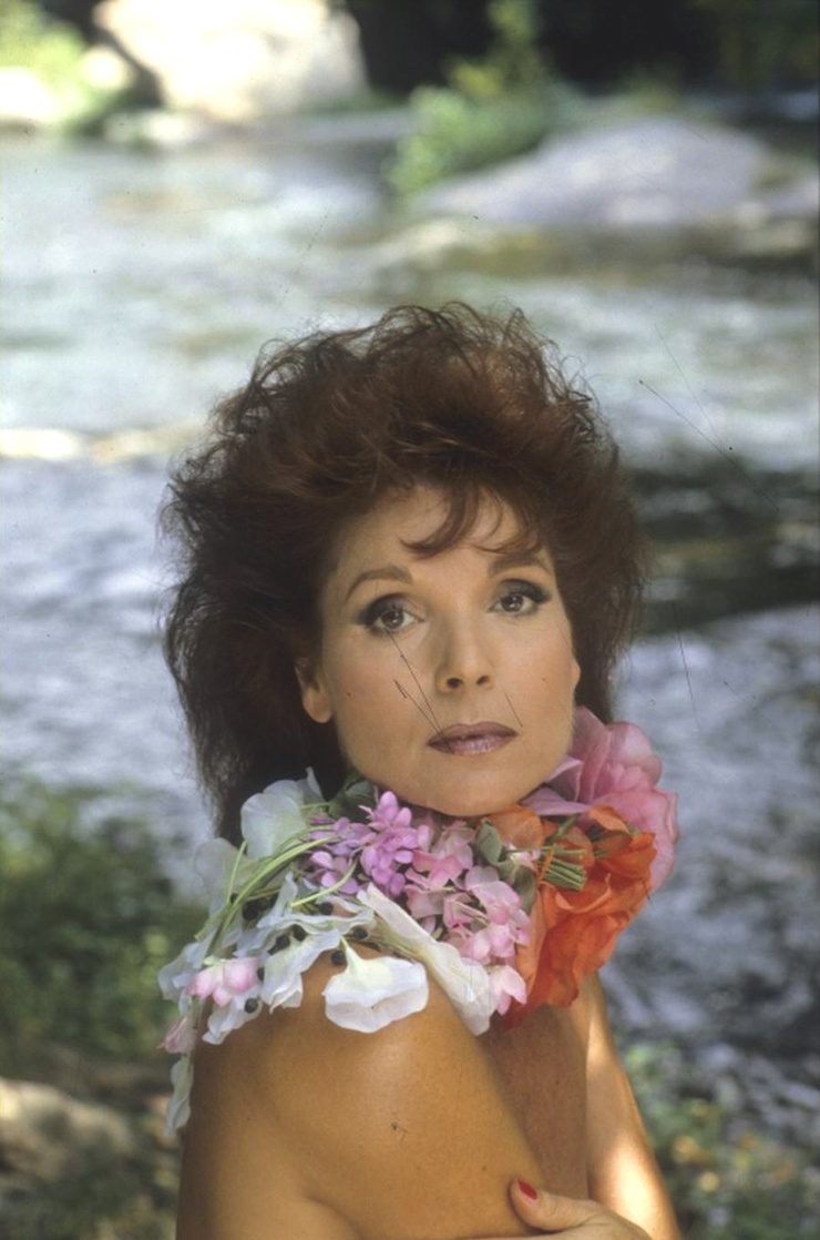 Picture of Elsa Martinelli