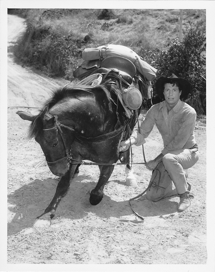 Image of Wagon Train