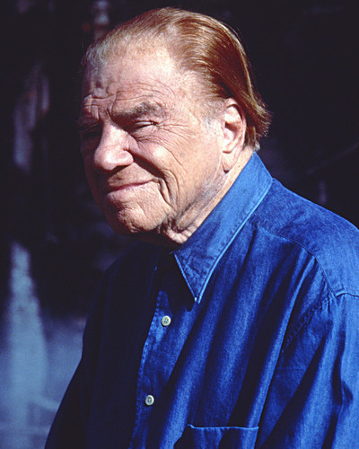 Picture of Lionel Stander