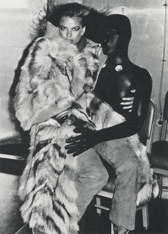 Picture of Lisa Taylor