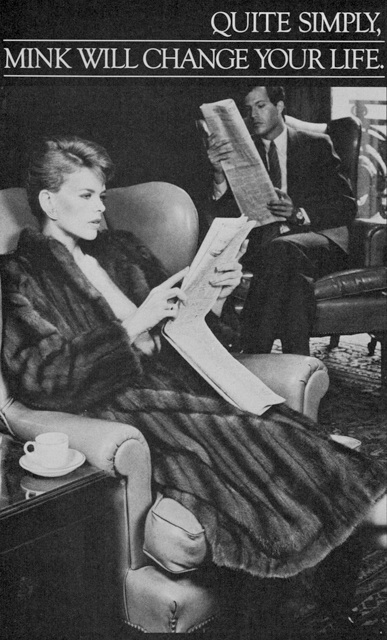 Picture of Lisa Taylor