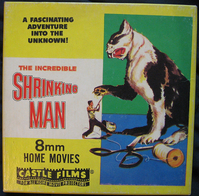 The Incredible Shrinking Man picture