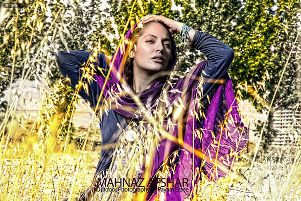 Picture of Mahnaz Afshar