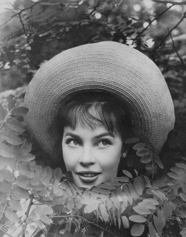 Leslie Caron image