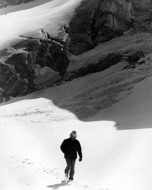 Picture of Fred Zinnemann