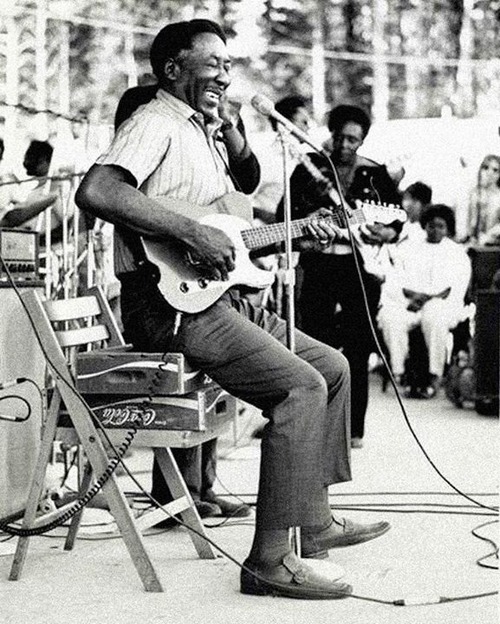 Picture of Muddy Waters