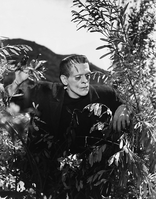 Picture of Frankenstein's Monster