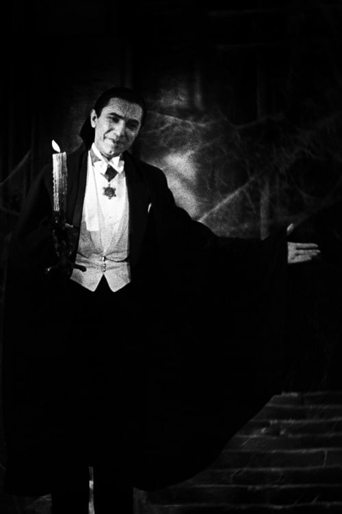 Picture of Dracula